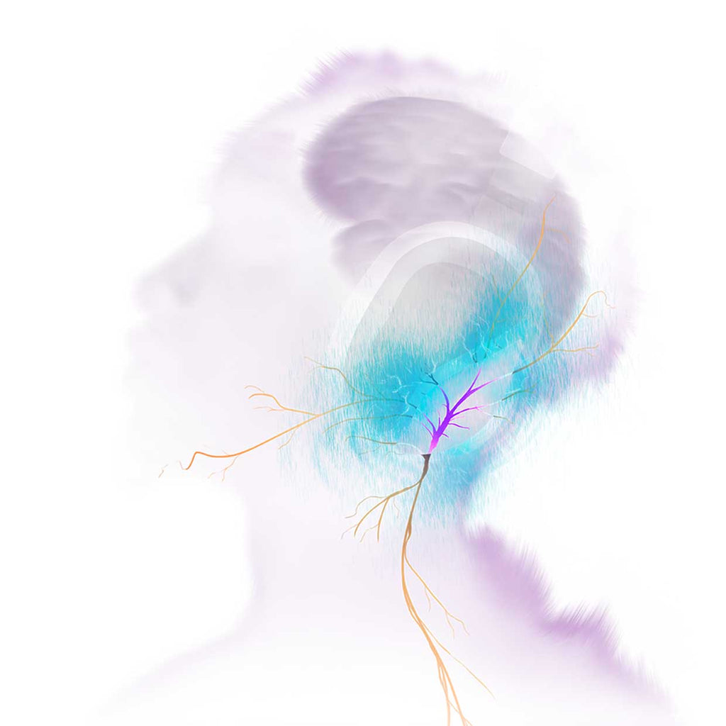 BrainPatch Meditation Headset - Elevate Your Meditation Experience – Caputron