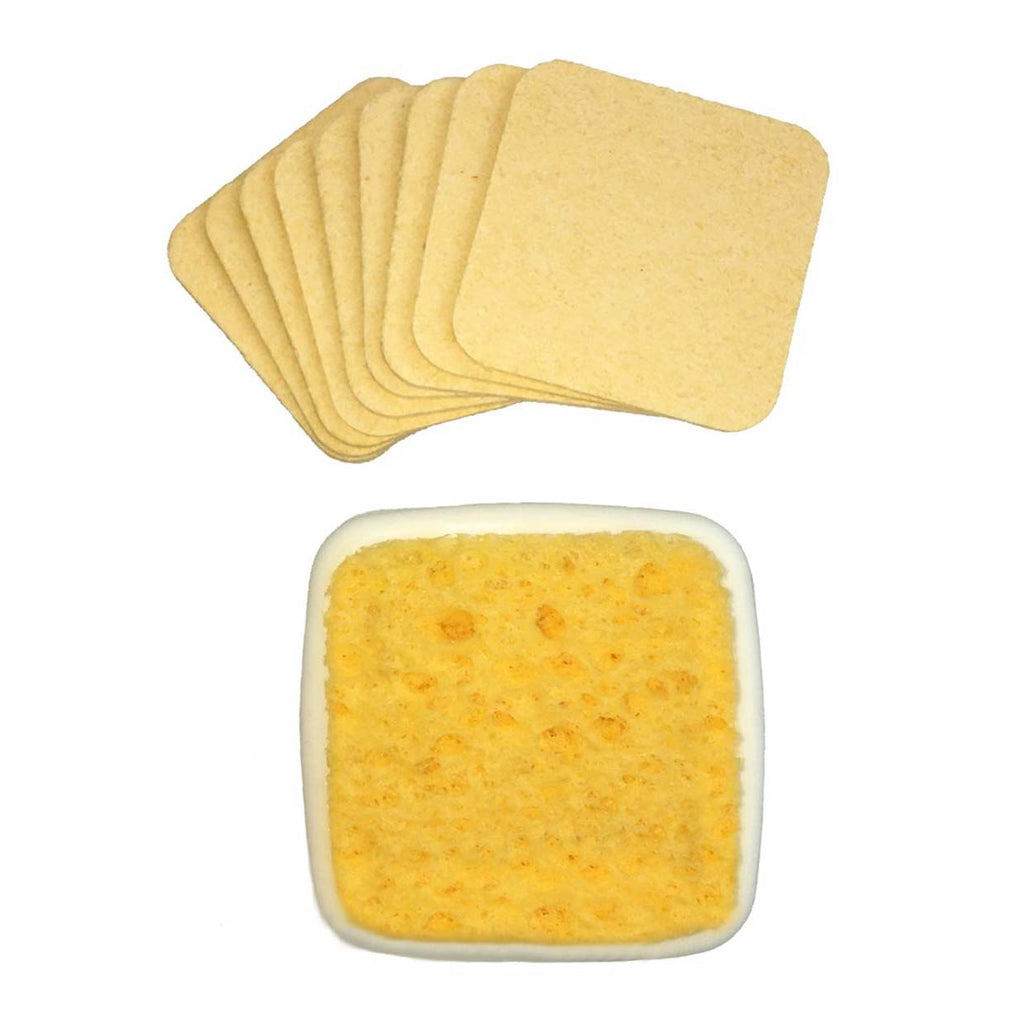 Sponge Insert Replacements for Focus tDCS Device | Caputron